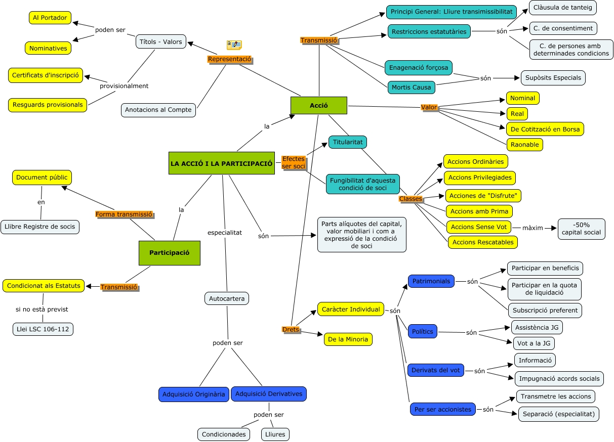 Mapa Conceptual 6 Accions-Participacions